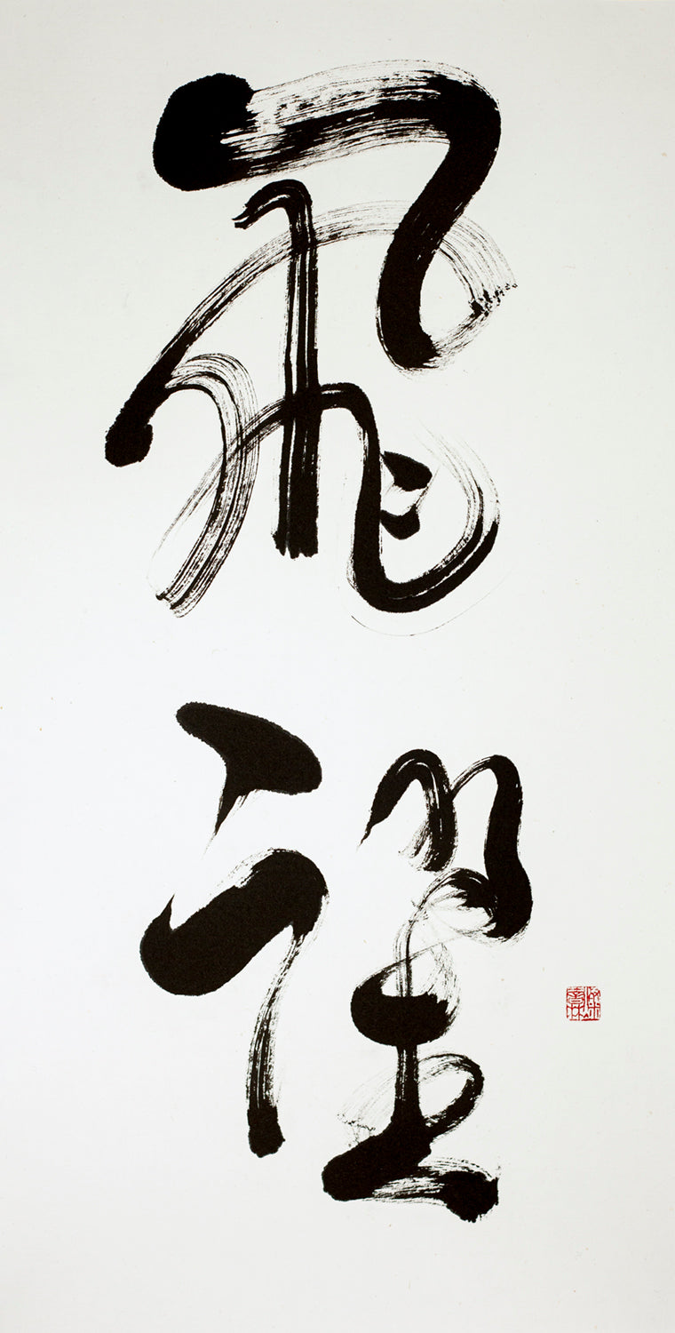 TO LEAP JUMP – SHODOSAN
